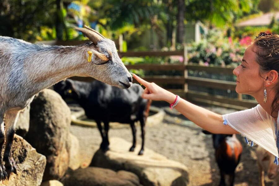 Solenn Riou : les plus belles photos de la journaliste de LCI - Télé 2 ...